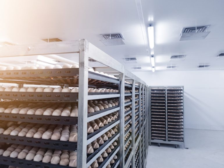 How Does A Cold Room Benefit Poultry Farms? - Burton Industries